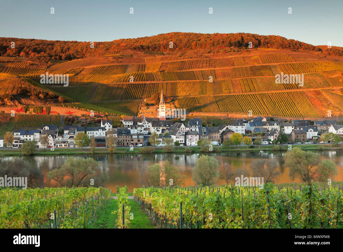 Zell merl at the mosel hi-res stock photography and images - Alamy