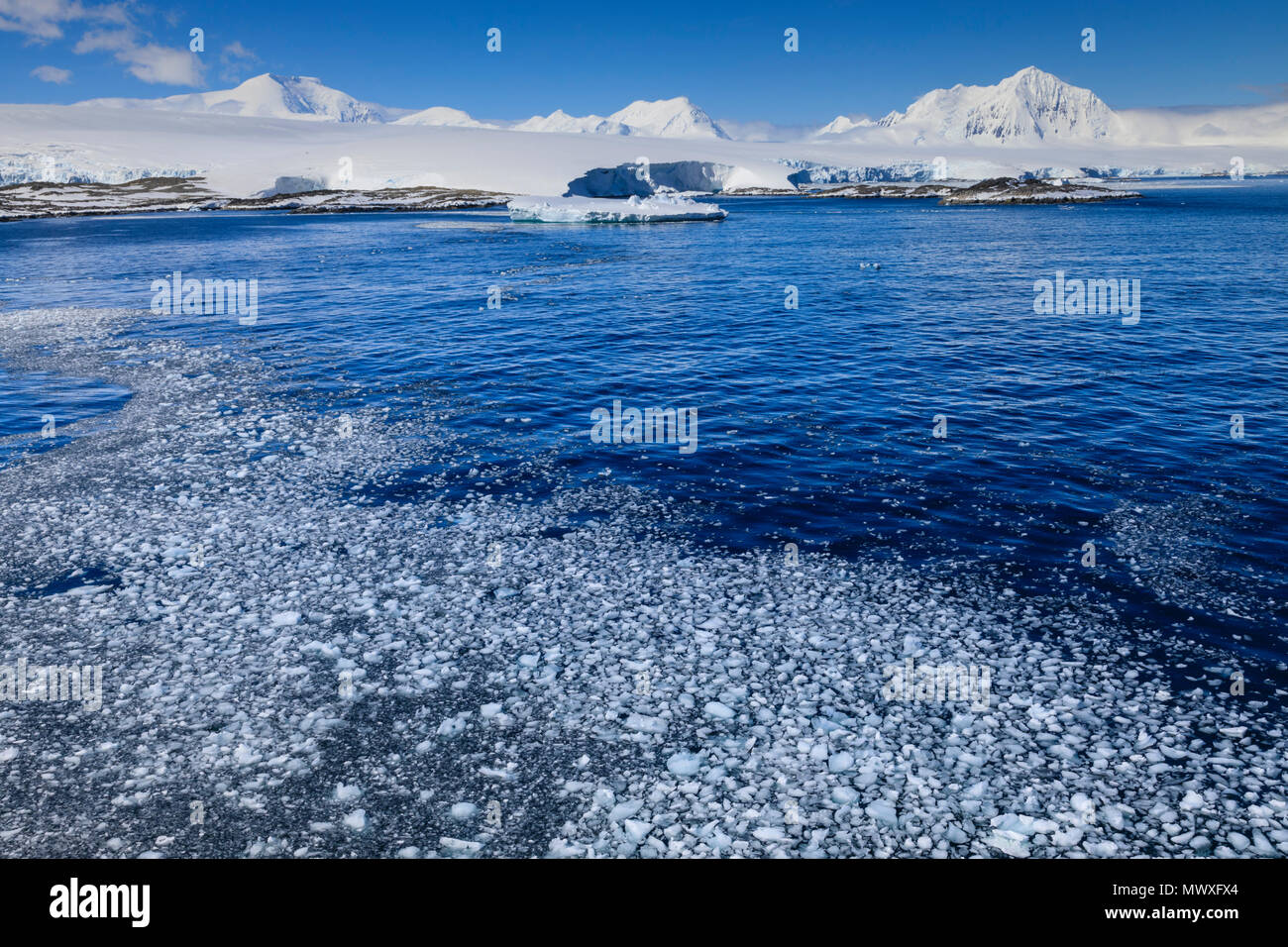 Anvers island hi-res stock photography and images - Alamy