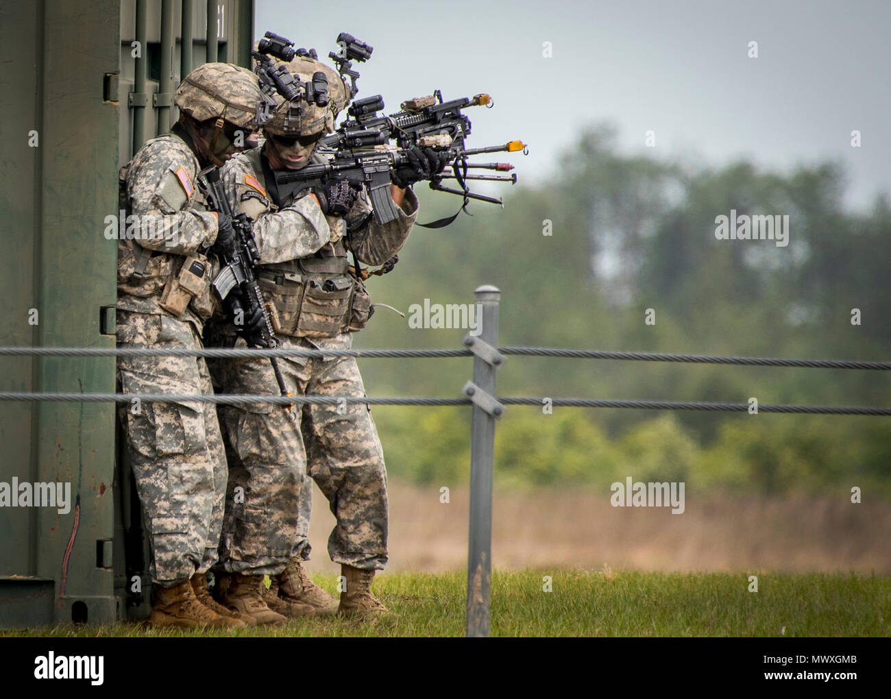 Florida king snake hi-res stock photography and images - Alamy
