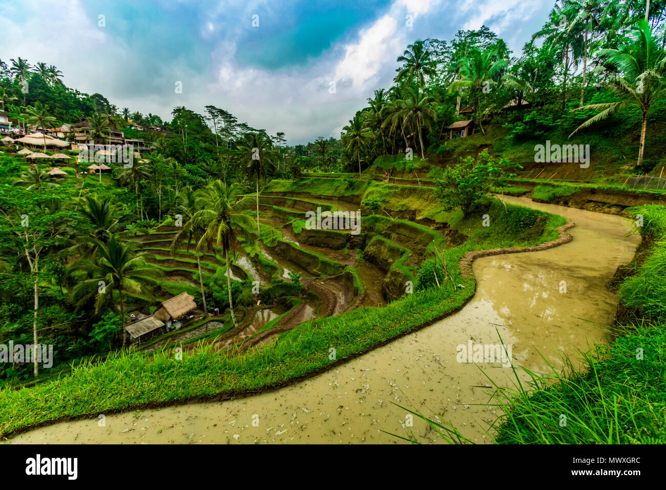Terrace farming southeast asia hi-res stock photography and images - Alamy
