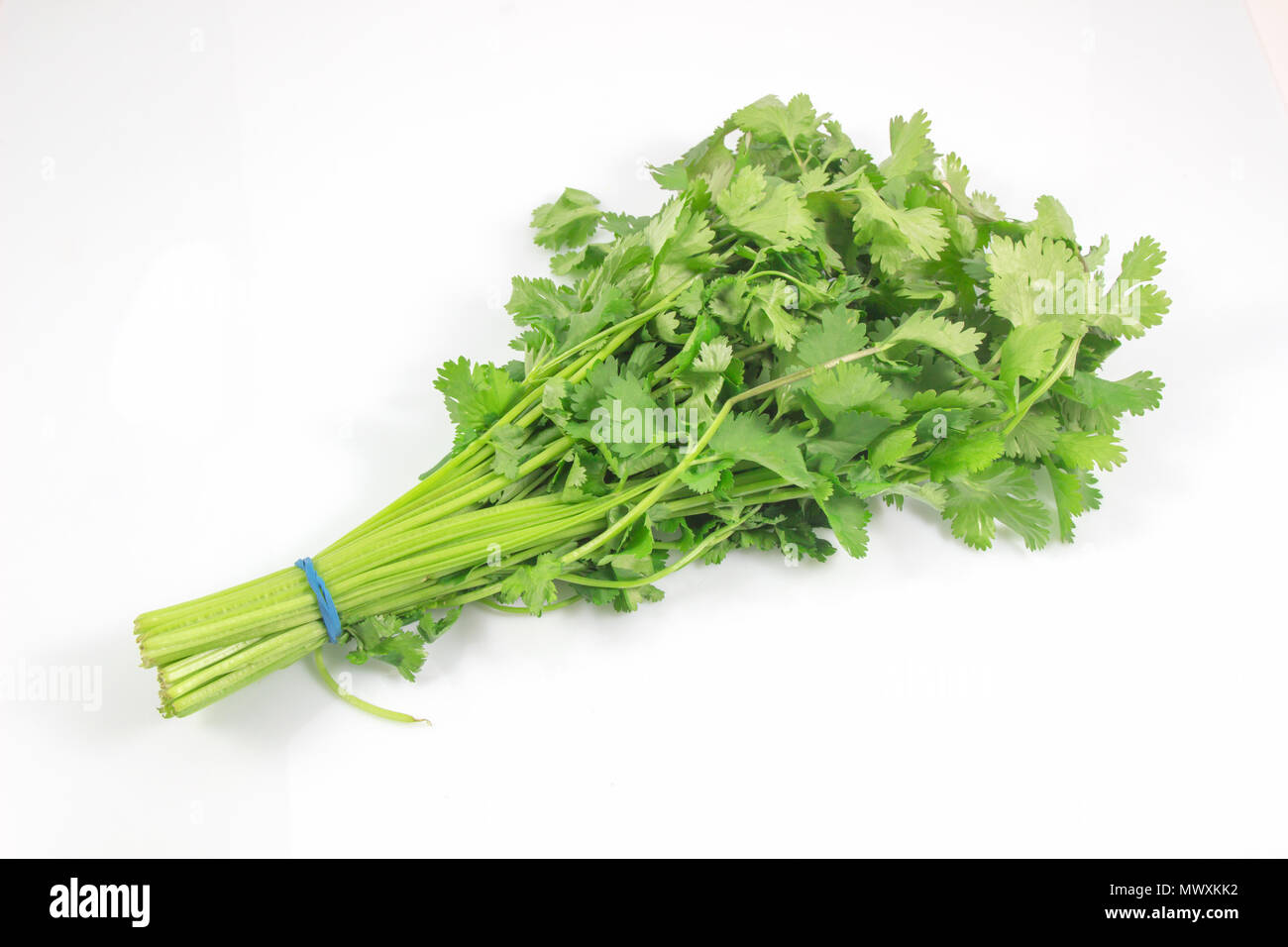 Bunch of fresh coriander leaves over white background Stock Photo - Alamy