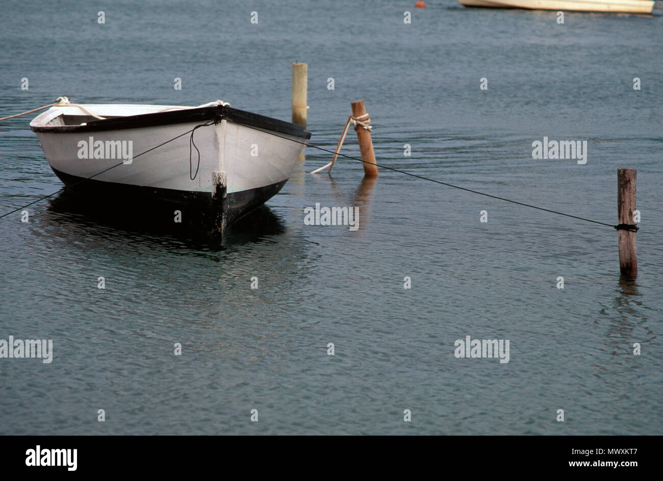 New rowing boats hi-res stock photography and images - Alamy