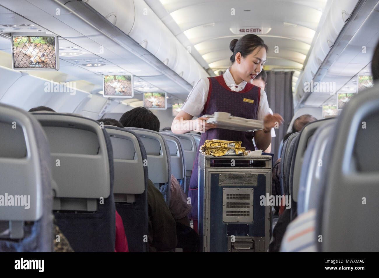 Air China,stewardess,crew,inside,cabin,serving,food,drinks,on,flight ...