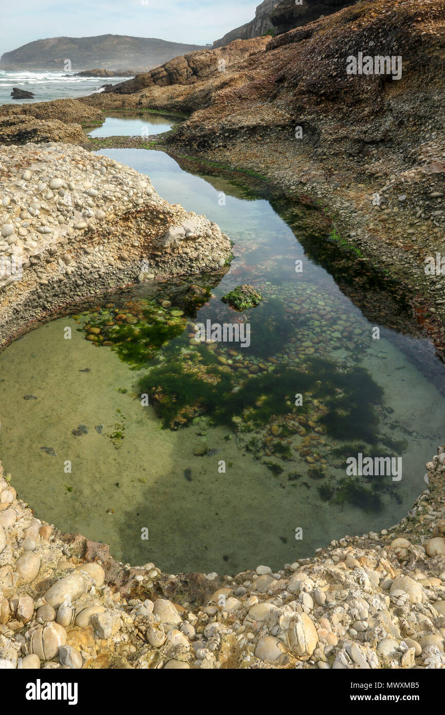Spit beach rockpool hi-res stock photography and images - Alamy