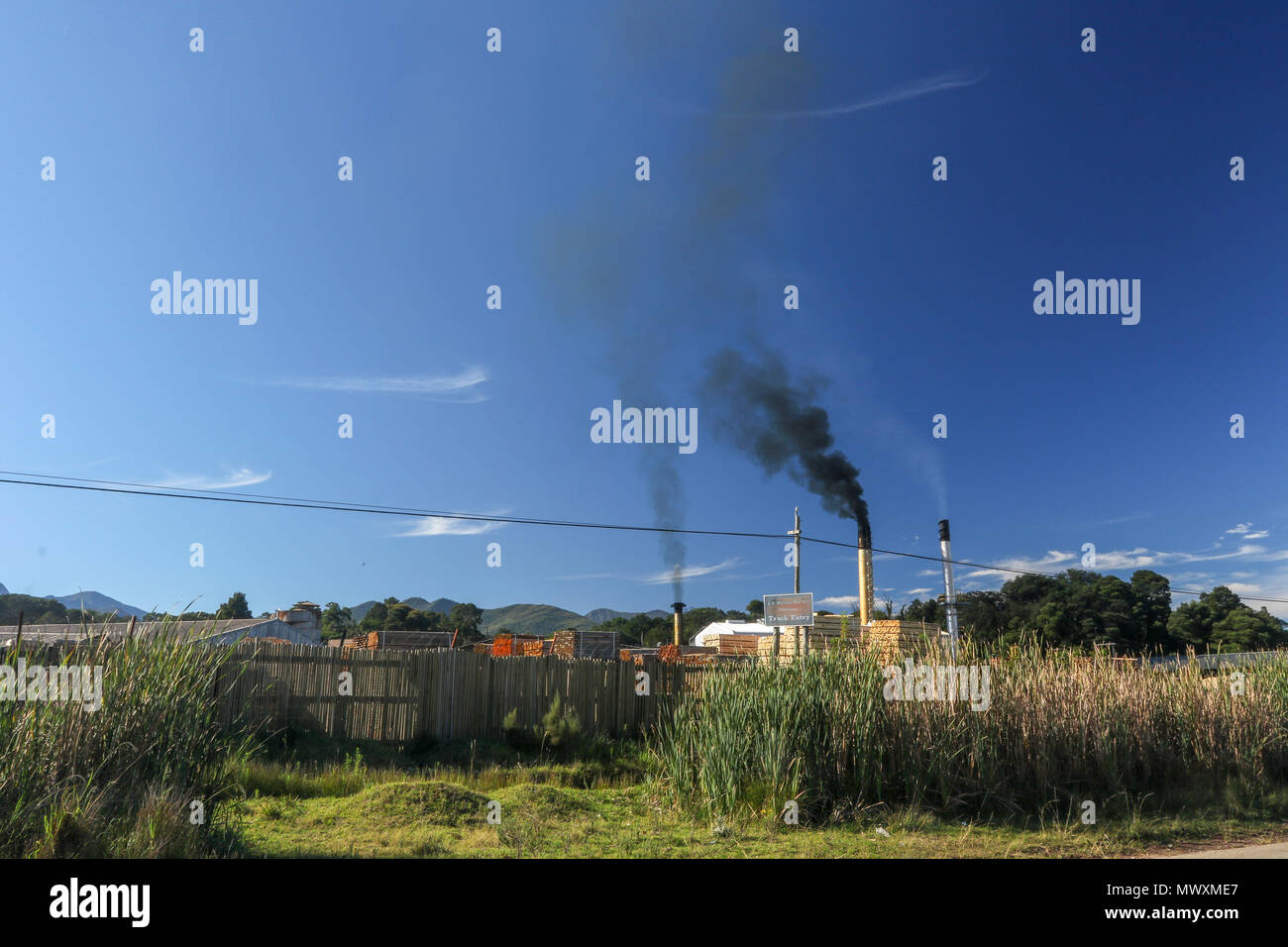 pine lumber yard in Coldstream Coldstream town, Eastern Cape, South ...