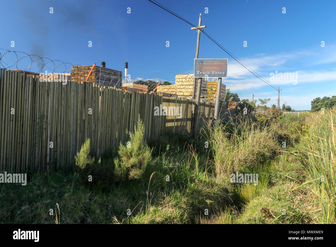 Coniferous pulpwood hi-res stock photography and images - Alamy