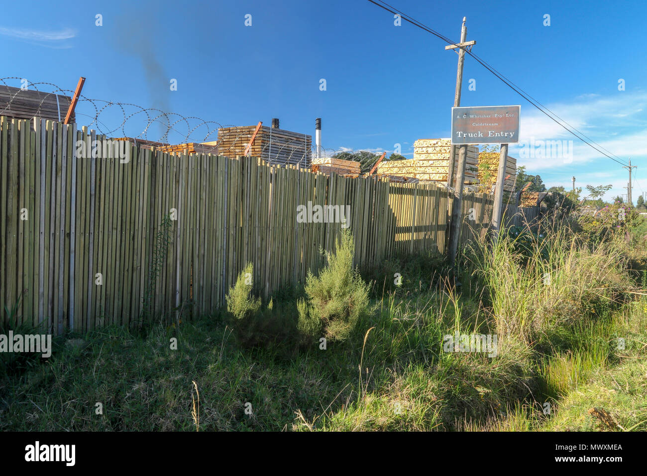 pine lumber yard in Coldstream Coldstream town, Eastern Cape, South ...