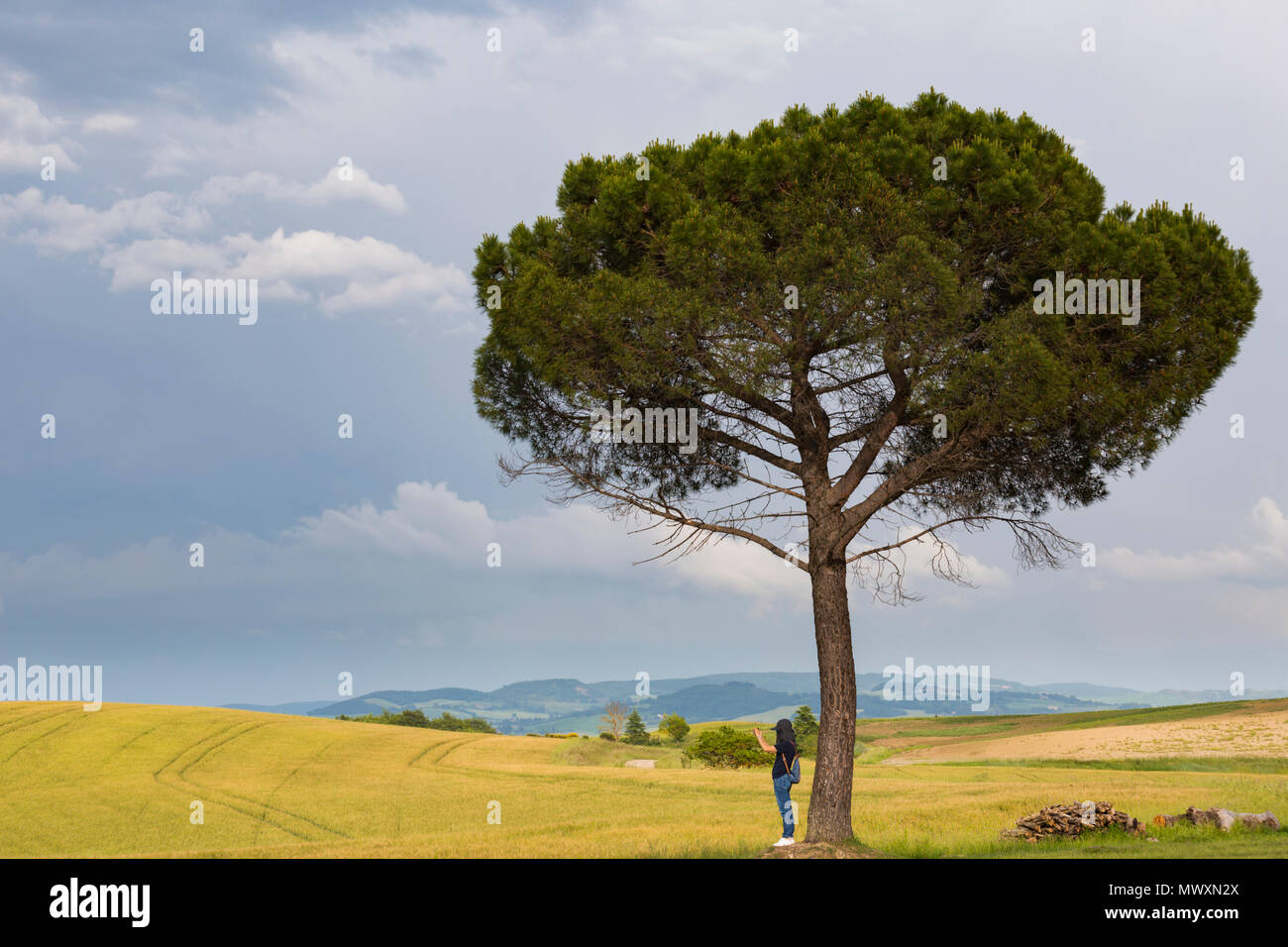 Young woman standing by tree taking photo of stunning landscape at San ...