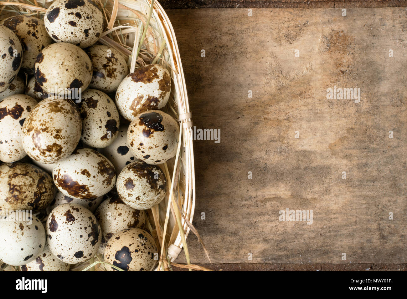 Quail eggs in a nest on a rustic wooden background. Healthy food ...