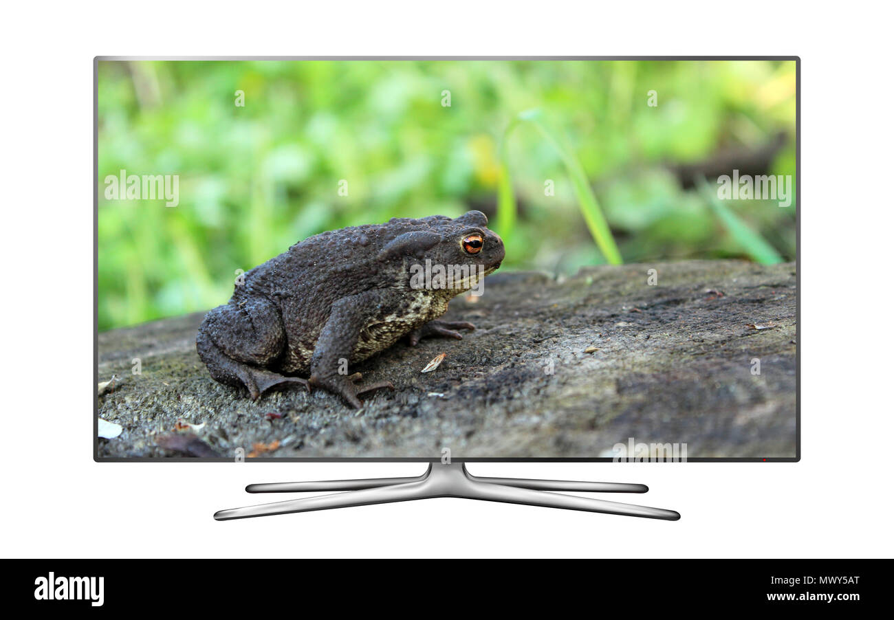 Smart tv isolated on white with frog on screen Stock Photo - Alamy