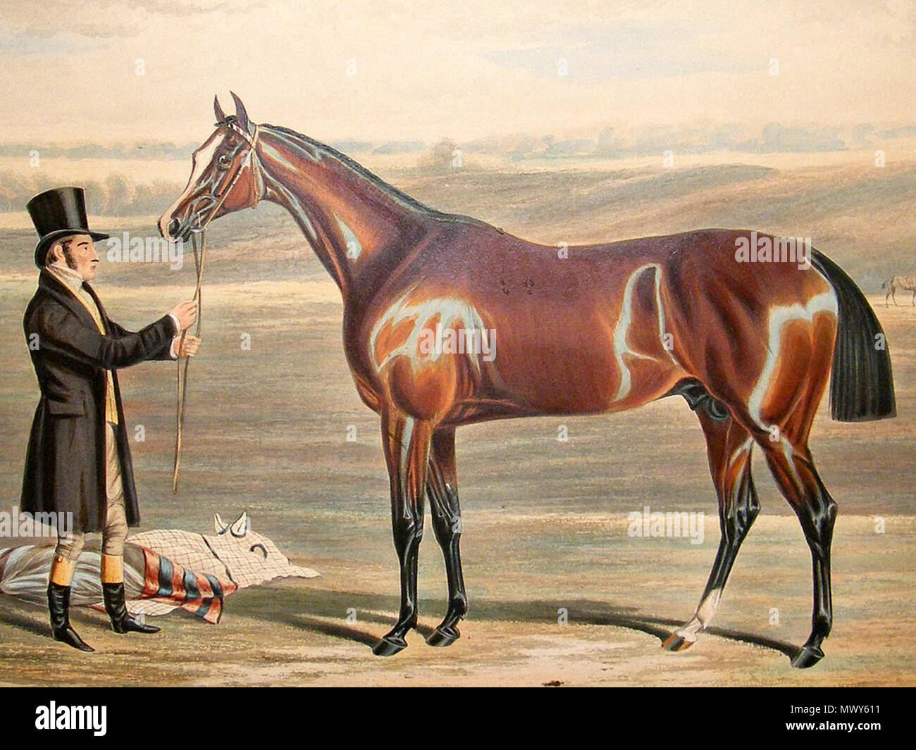 . English: Mameluke, winner of the 1827 Epsom Derby. Print by Richard ...