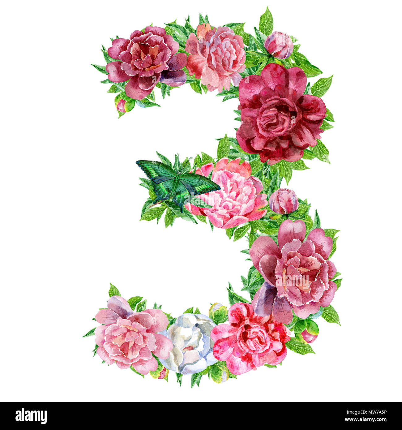 Number three of watercolor flowers, isolated hand drawn on a white ...