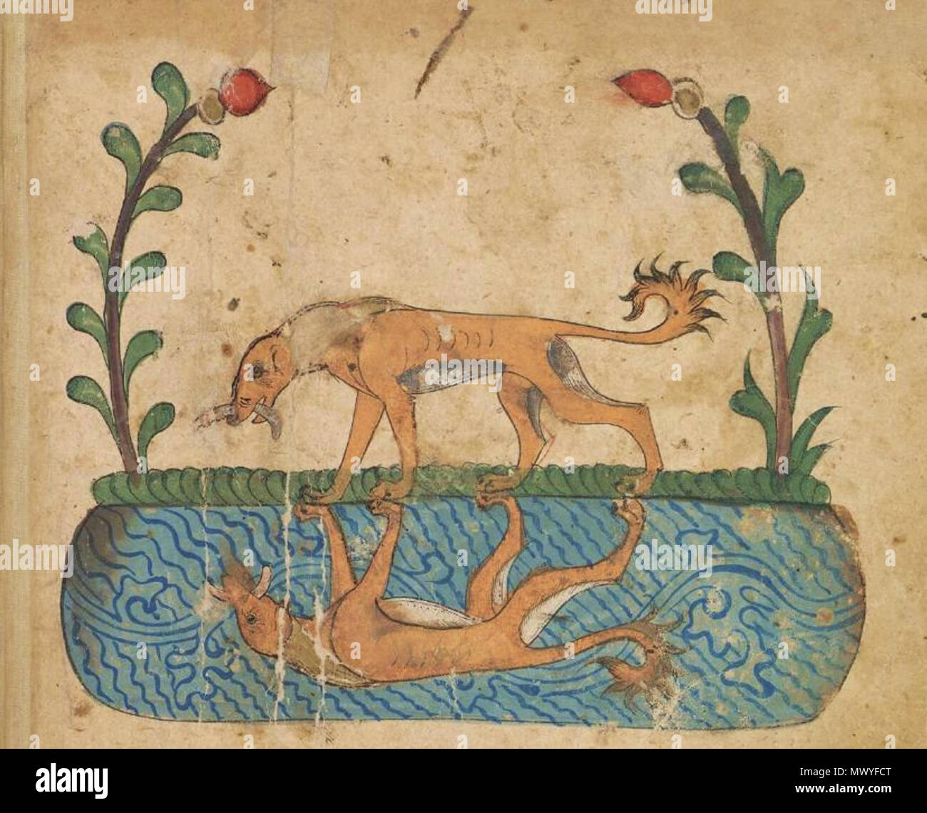 Fable hi-res stock photography and images - Alamy