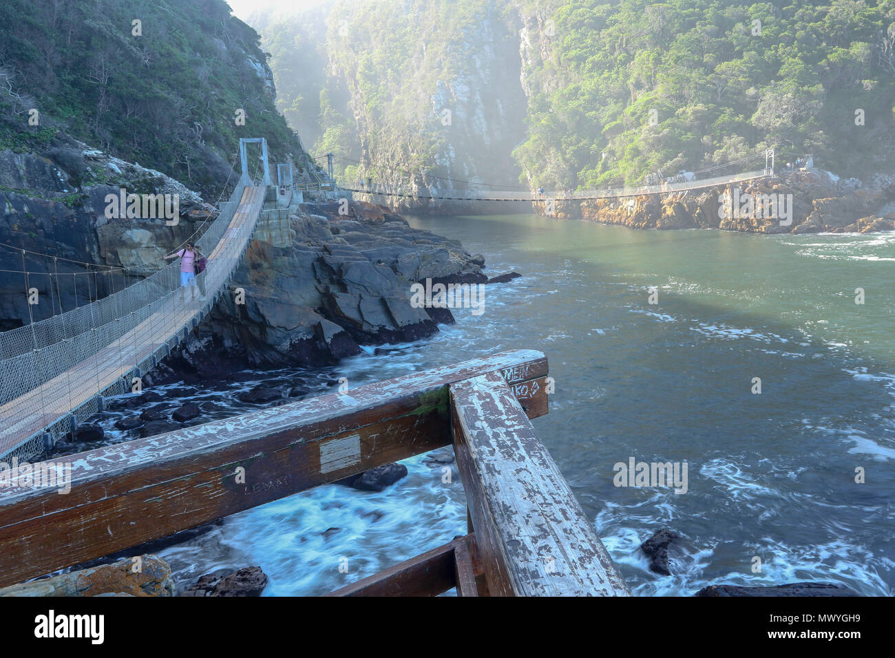 bridge in the storms river area of the Tsitsikamma, protected area ...