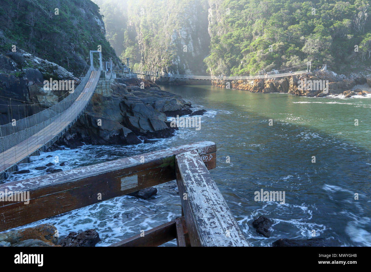 bridge in the storms river area of the Tsitsikamma, protected area ...