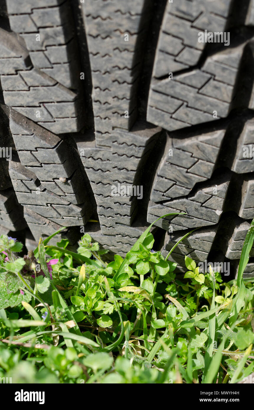 Tire with track in the green grass Stock Photo - Alamy