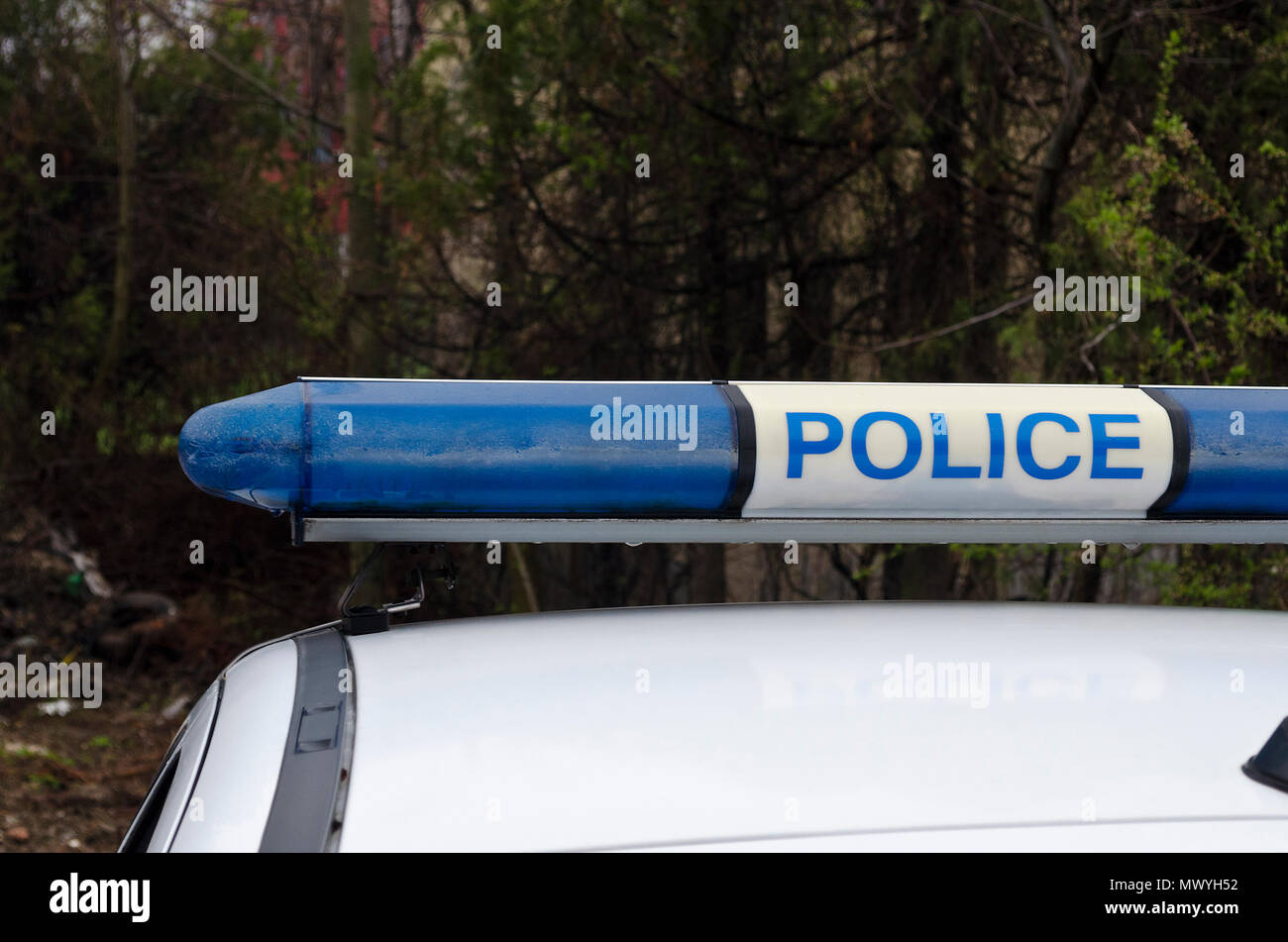 Police siren after an accident Stock Photo - Alamy