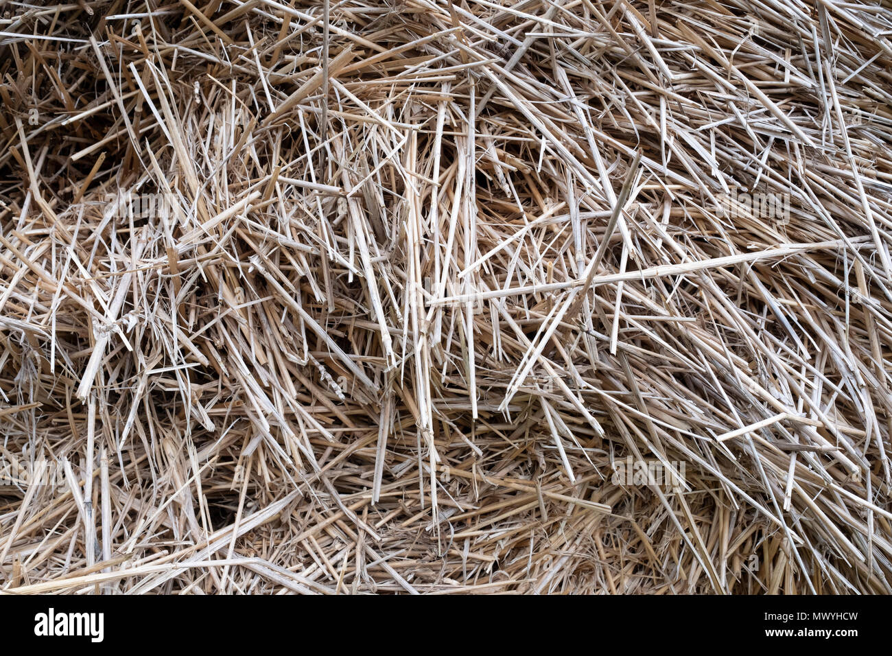 Dried hay, full frame close up on the straw texture, background Stock ...