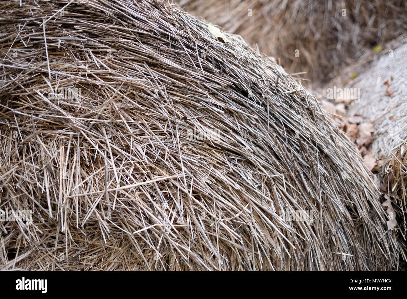 Circular hayrick hi-res stock photography and images - Alamy