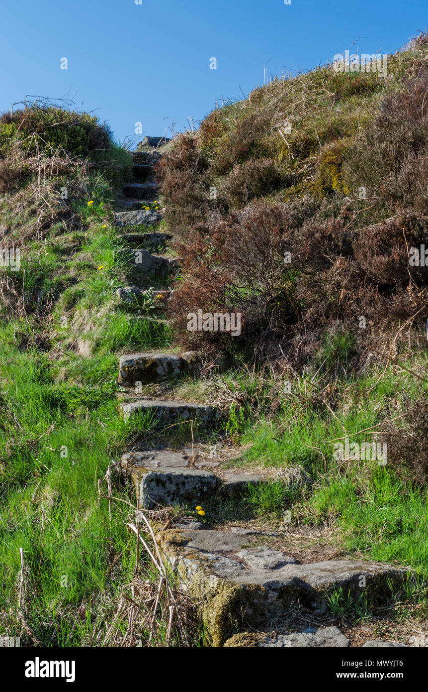 Rambling path steps slope hi-res stock photography and images - Alamy