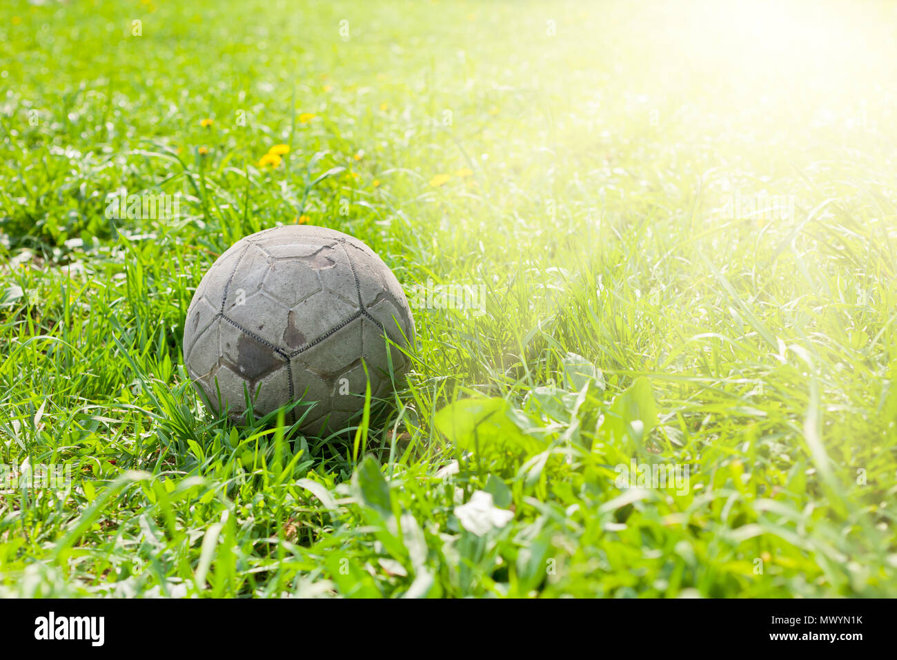 Old soccer ball forgotten in the green grass field. The football ...