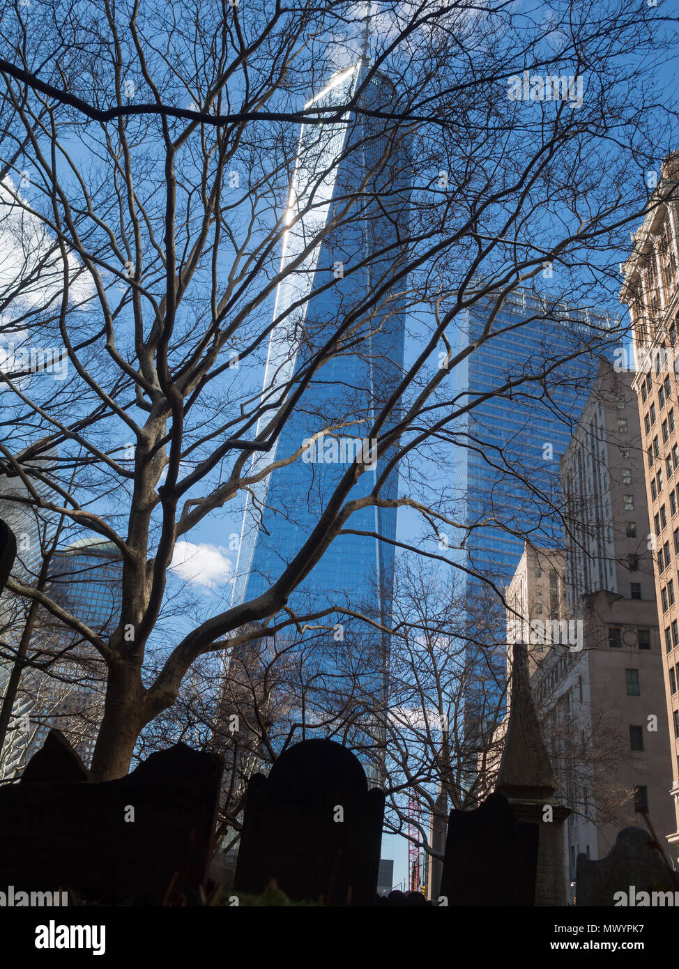 One World Trade Center seen between the tree branches in fall Stock ...
