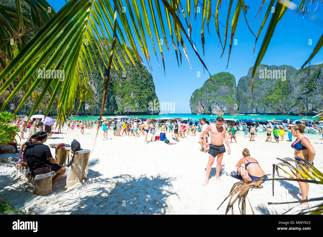 MAYA BAY, THAILAND - NOVEMBER 12, 2014: Crowds of visitors on a day ...