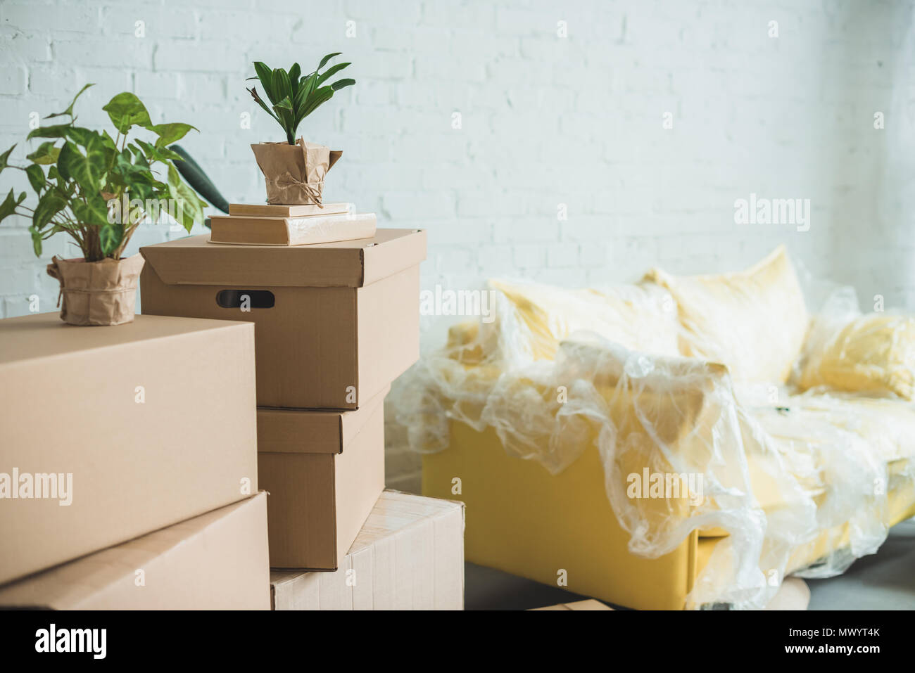 close up view of cardboard boxes in room Stock Photo - Alamy