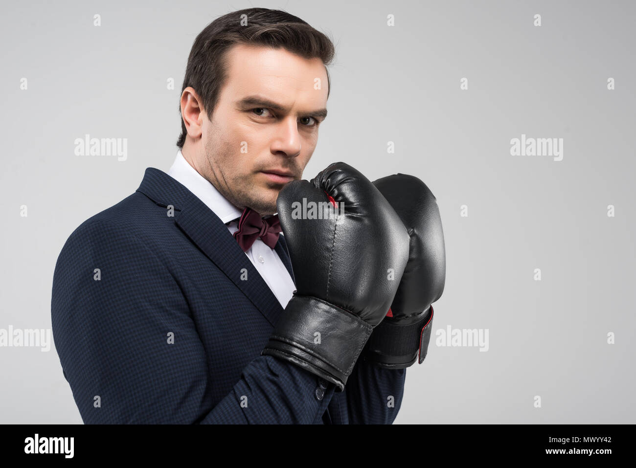 handsome man in suit and boxing gloves, isolated on grey Stock Photo ...