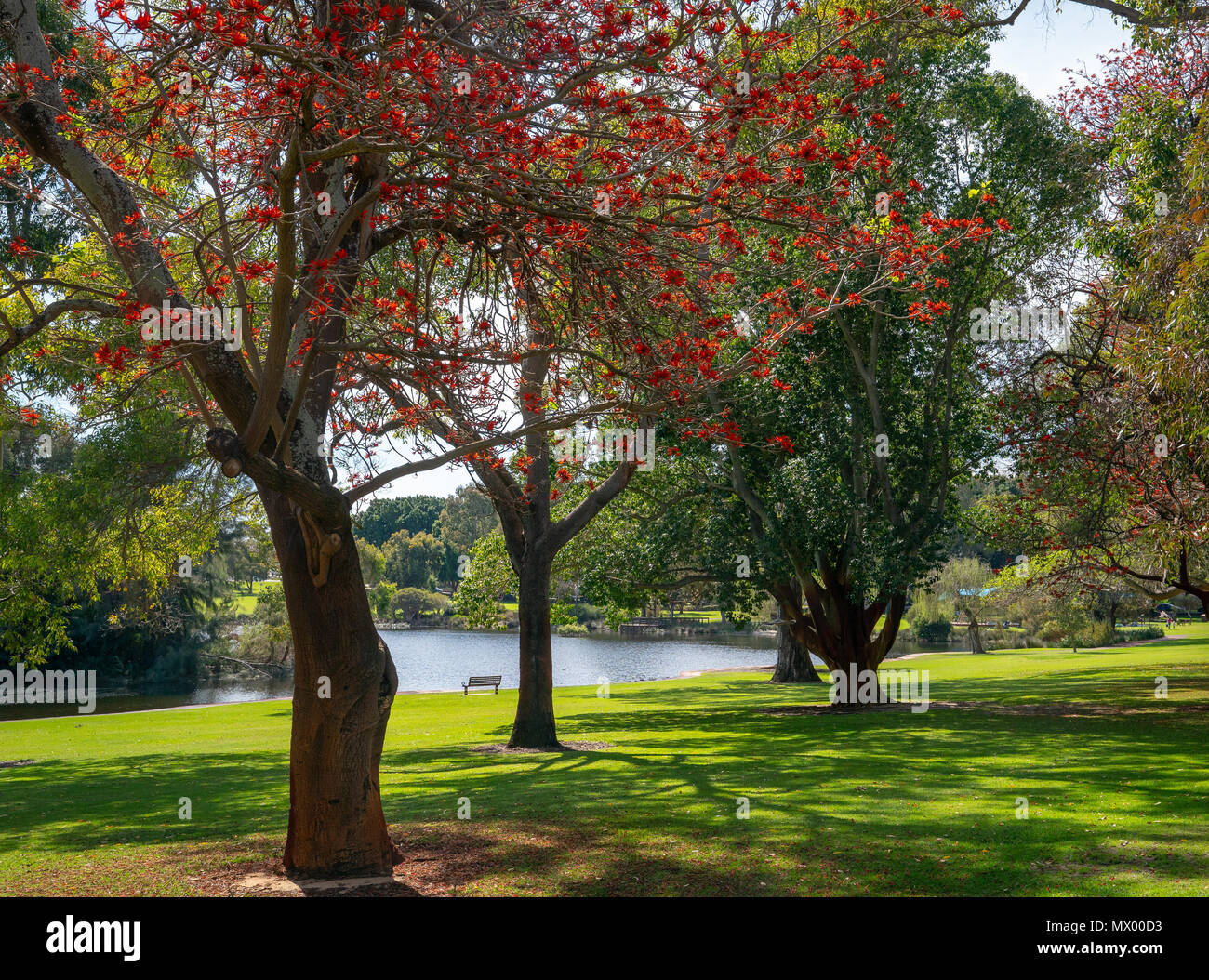 Shenton park hi-res stock photography and images - Alamy
