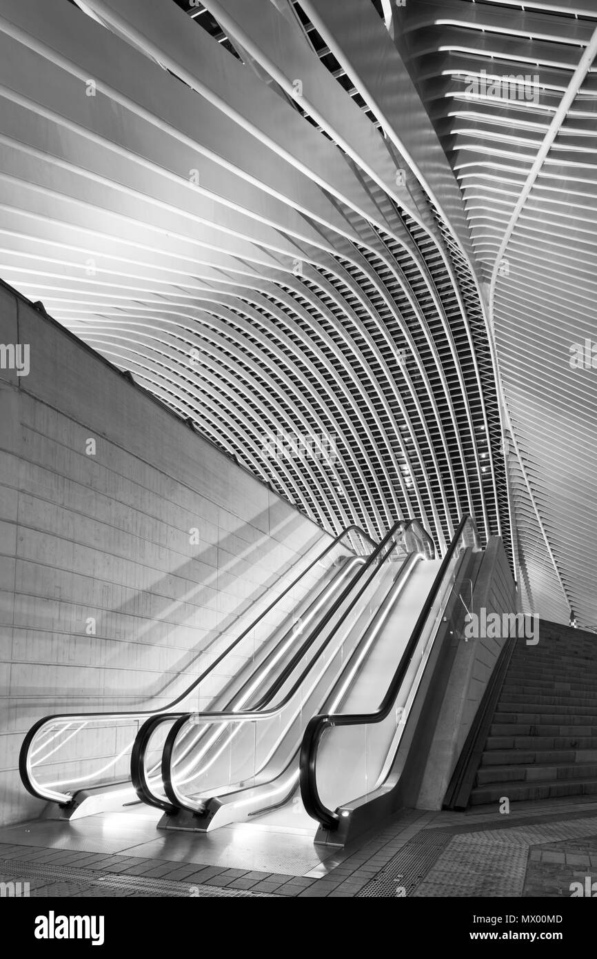 Escalator contemporary Black and White Stock Photos & Images - Alamy