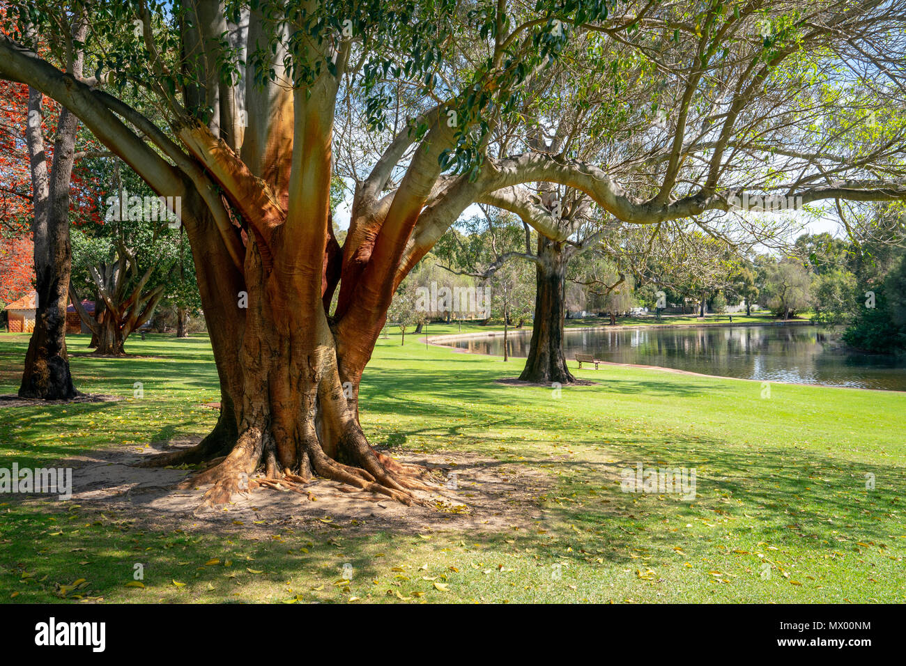 Perth lakes hi-res stock photography and images - Alamy