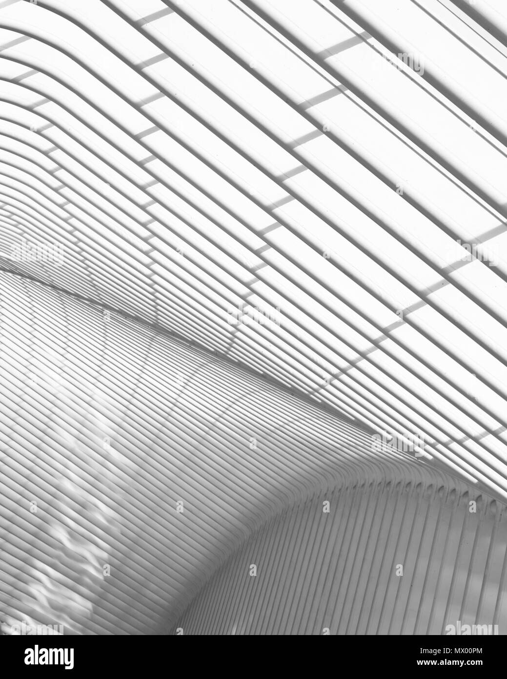 Santiago calatrava structure hi-res stock photography and images - Alamy