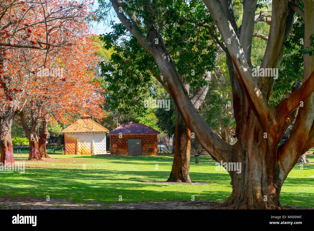 Shenton Park Perth Jualbup lake Stock Photo - Alamy