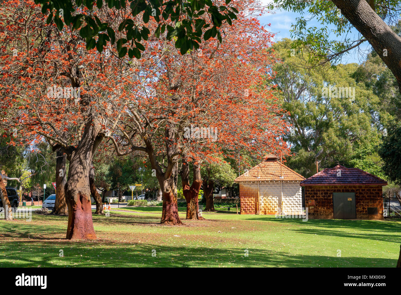 Central parks perth hi-res stock photography and images - Alamy