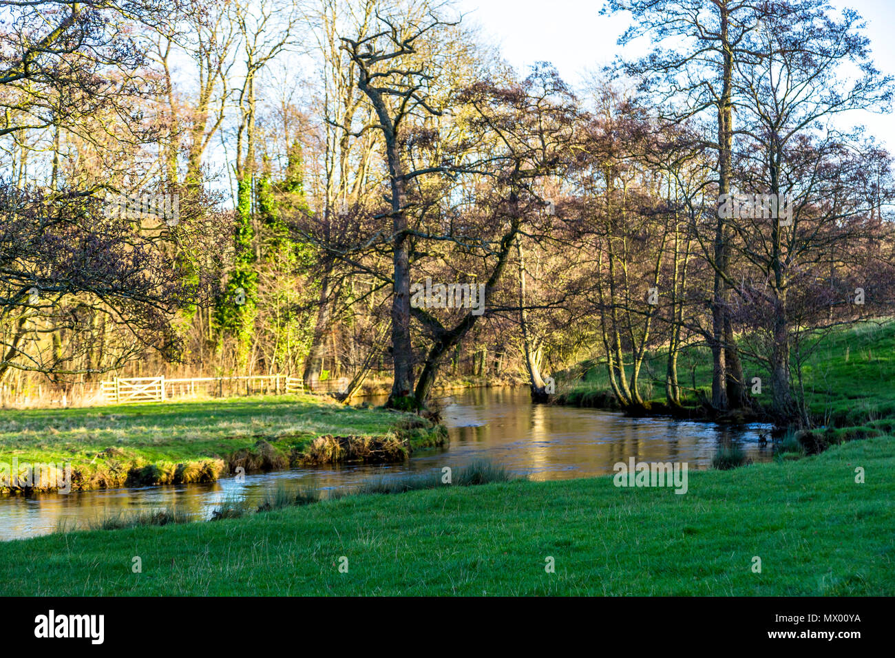 Riverside riverside riverside riverside flow hi-res stock photography ...