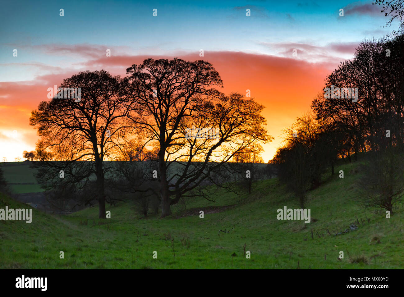 Sunset walks in Derbyshire, England Stock Photo - Alamy