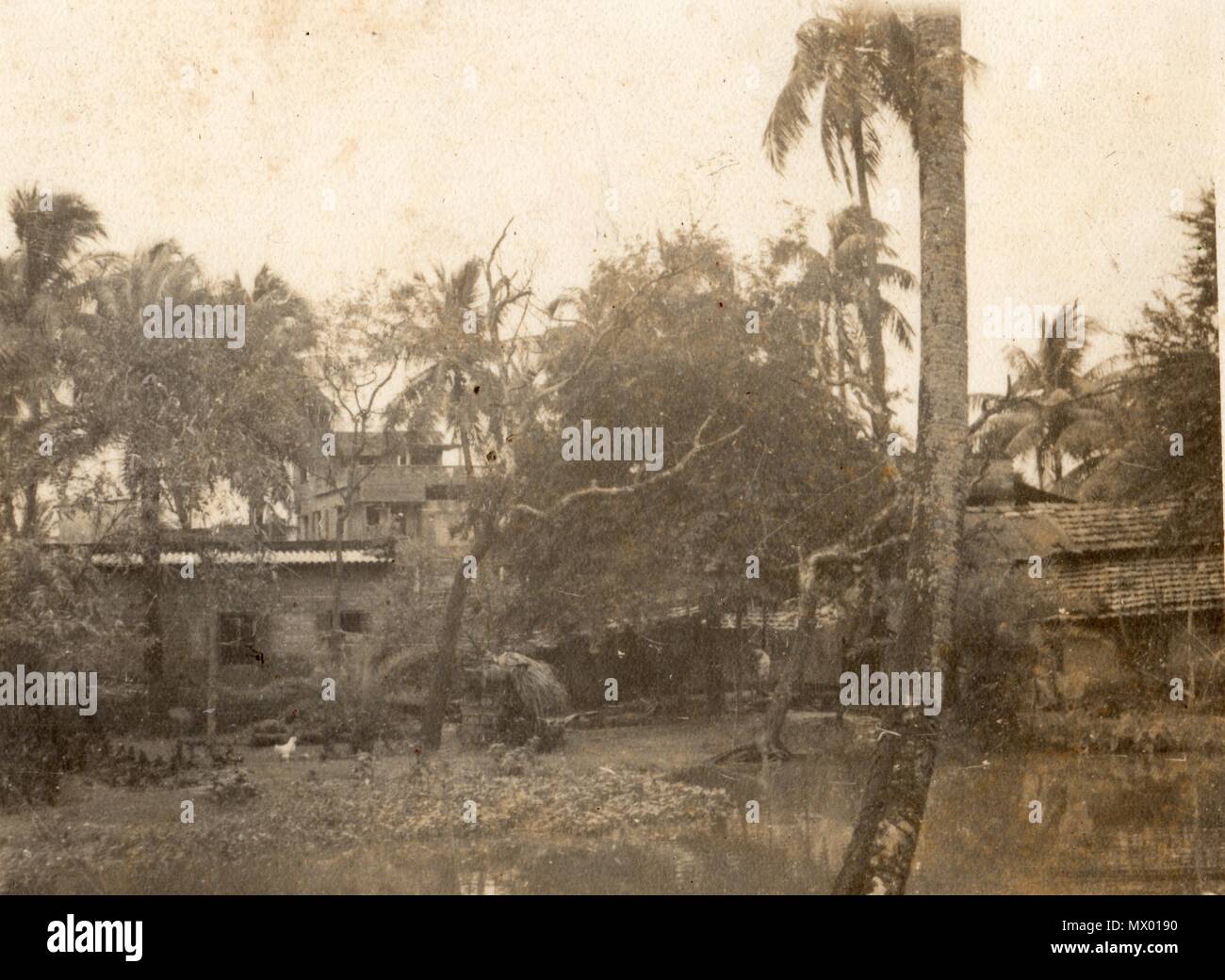 Old photograph collection hi-res stock photography and images - Alamy