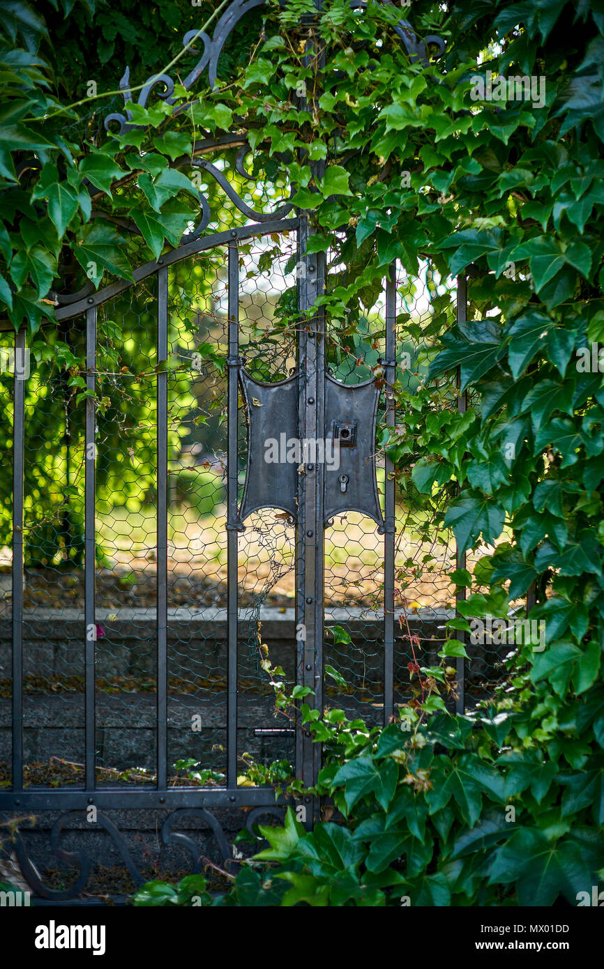 Mysterious garden gate hi-res stock photography and images - Alamy