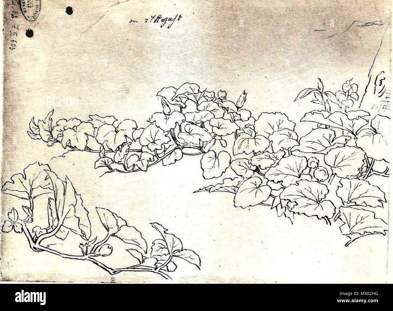 25 august 1799 hi-res stock photography and images - Alamy