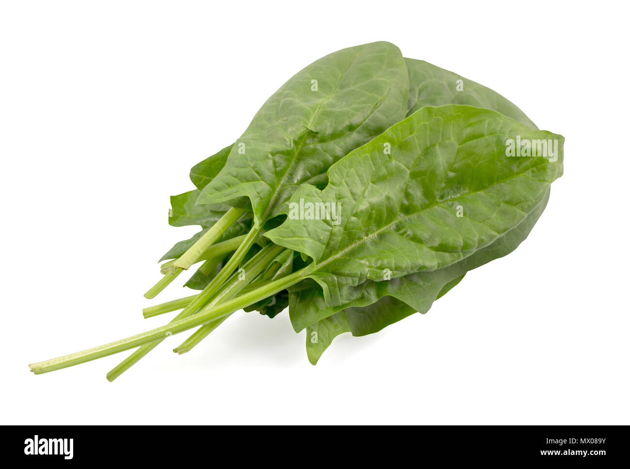 Fresh green spinach, spinach leaves close up isolated on white ...