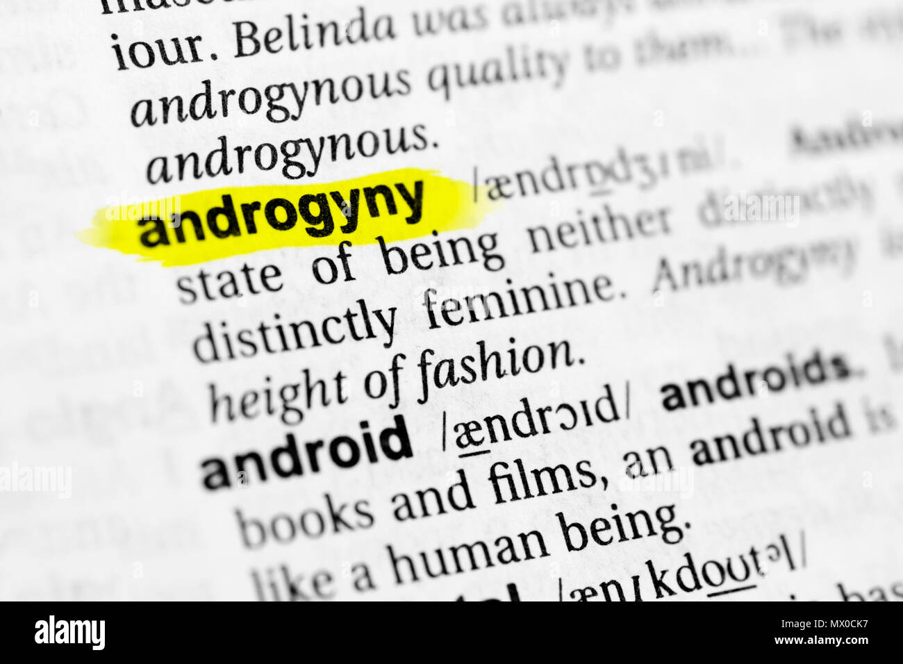 Highlighted English word "androgyny" and its definition in the ...