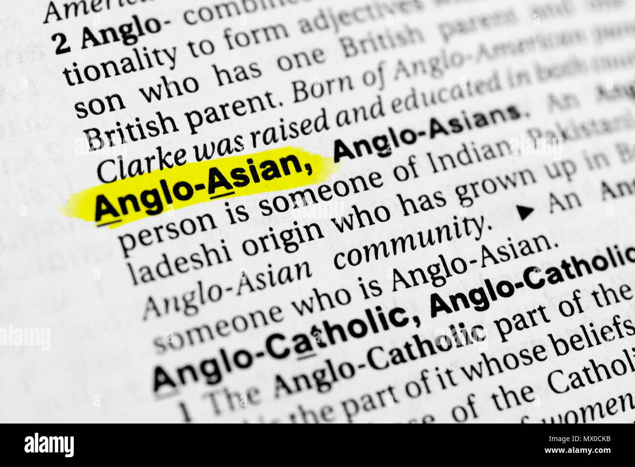 Highlighted English word "anglo asian" and its definition in the ...