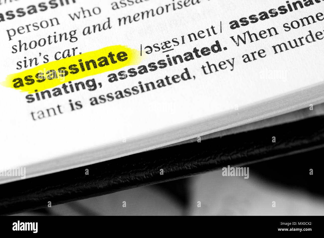 Highlighted English word "assassinate" and its definition in the ...