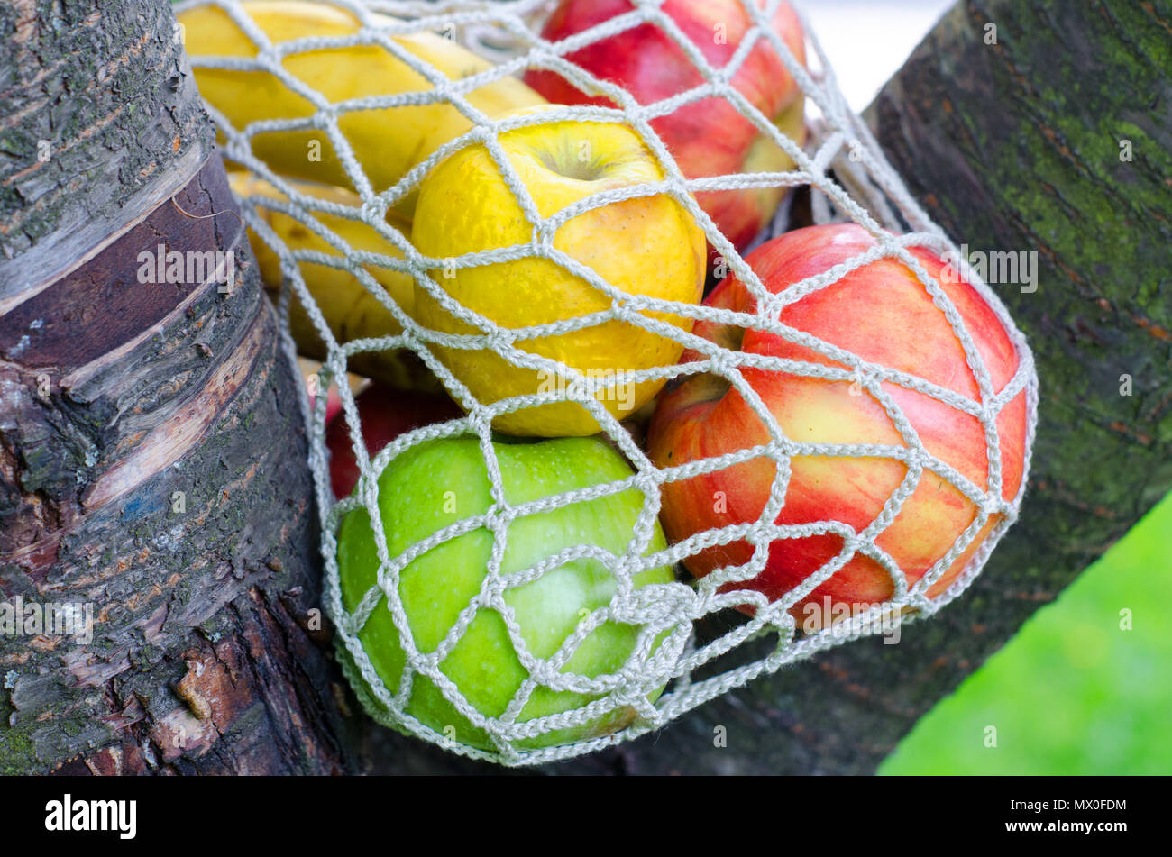 Trendy string bag with fruits. Shopping bag. Trendy closeup for ...