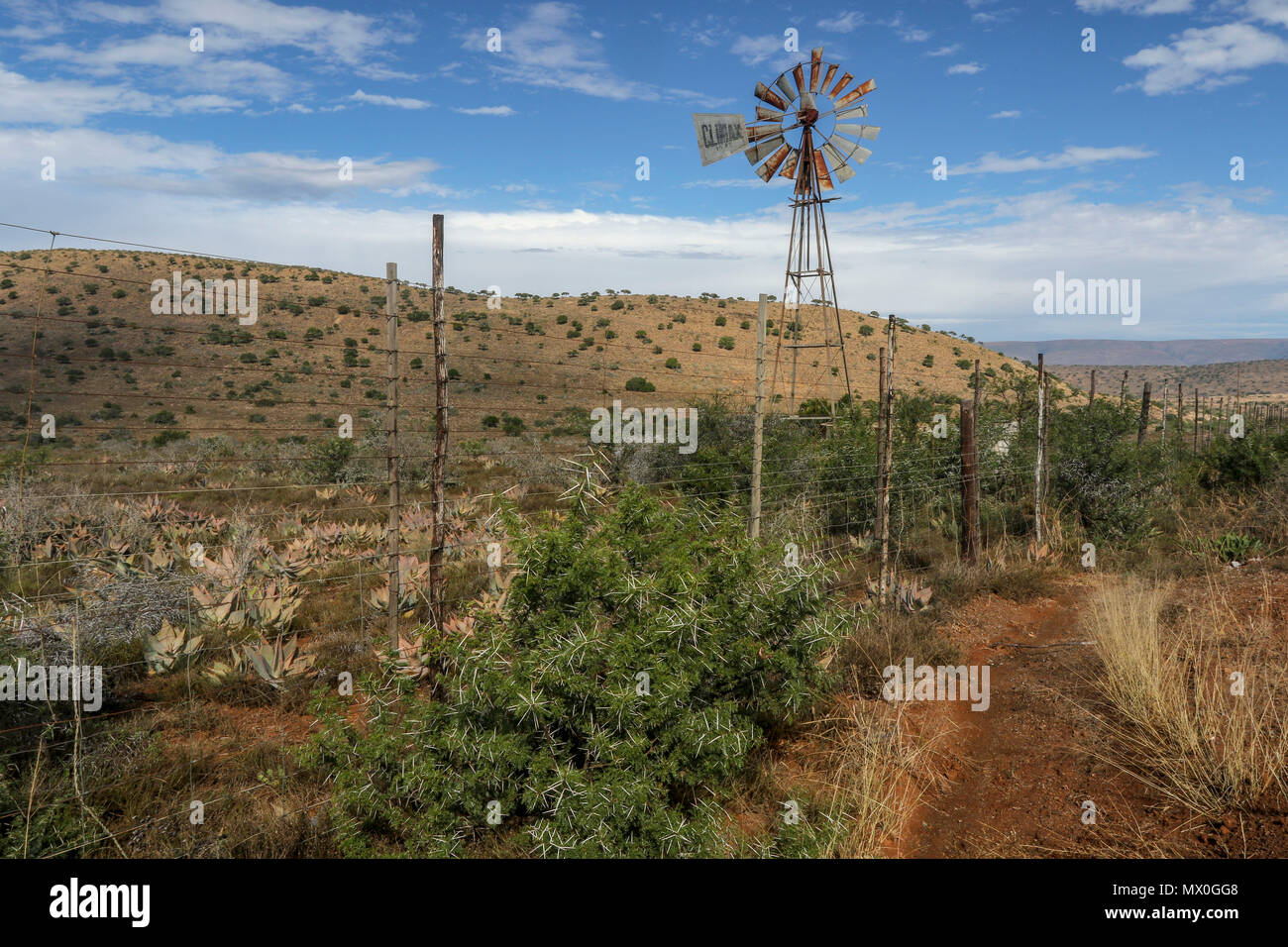Multi-bladed windpump acacia and eastern cape fynbos in the landscape ...