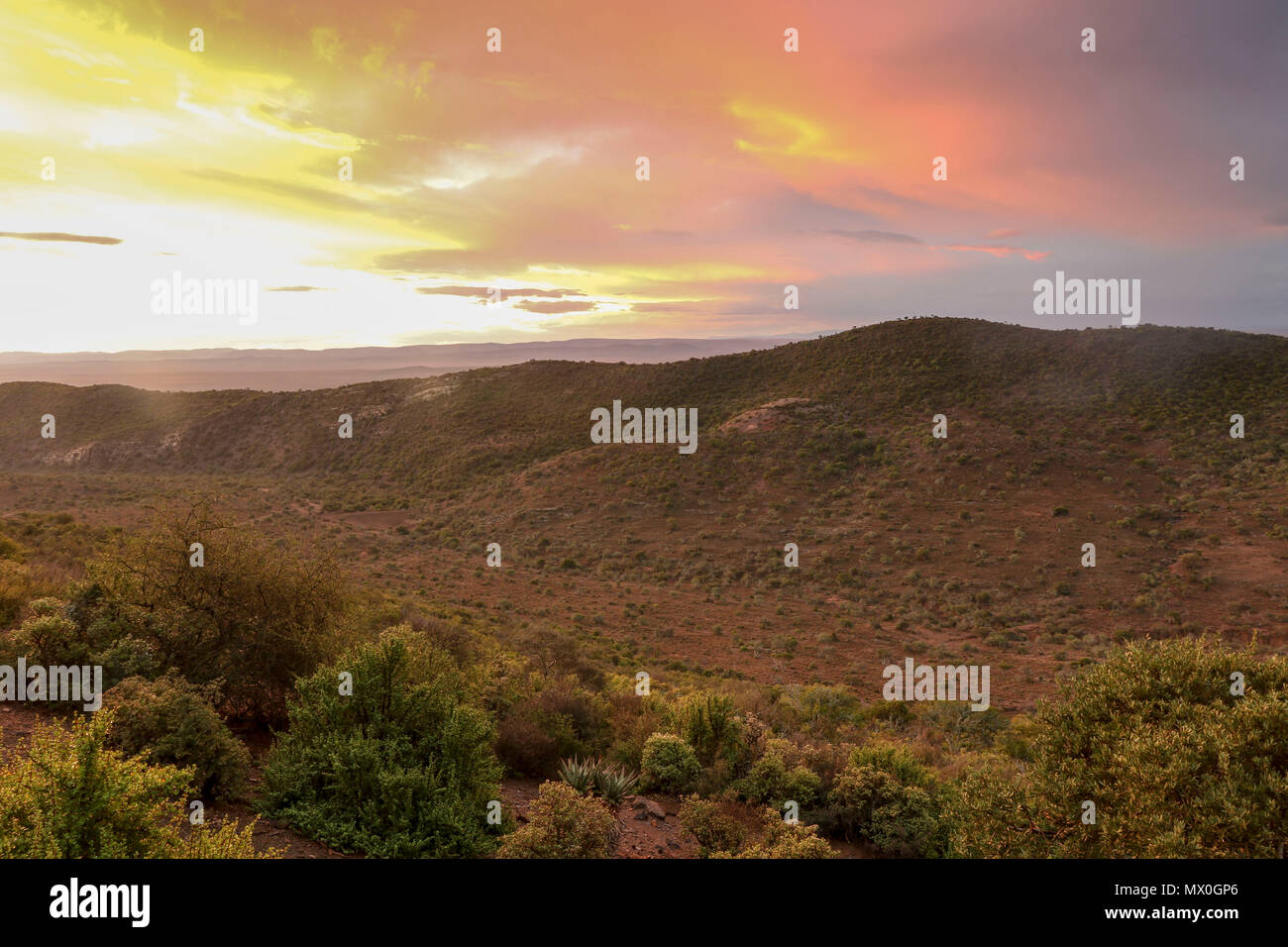 South african Fynbos landscape in the north of the Addo Elephant ...