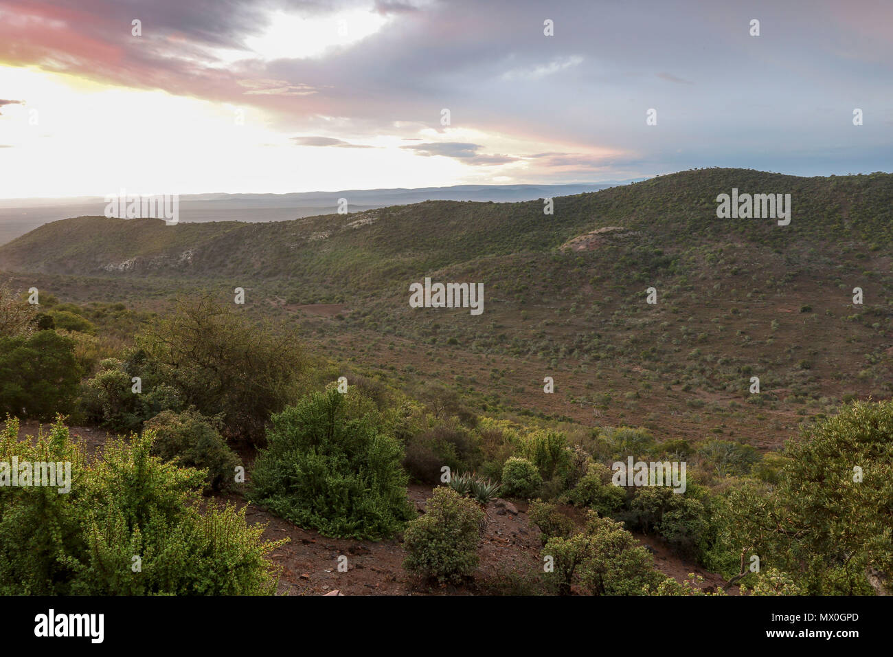 South african Fynbos landscape in the north of the Addo Elephant ...