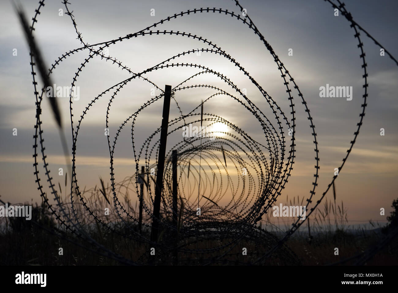 Barber wire hi-res stock photography and images - Alamy