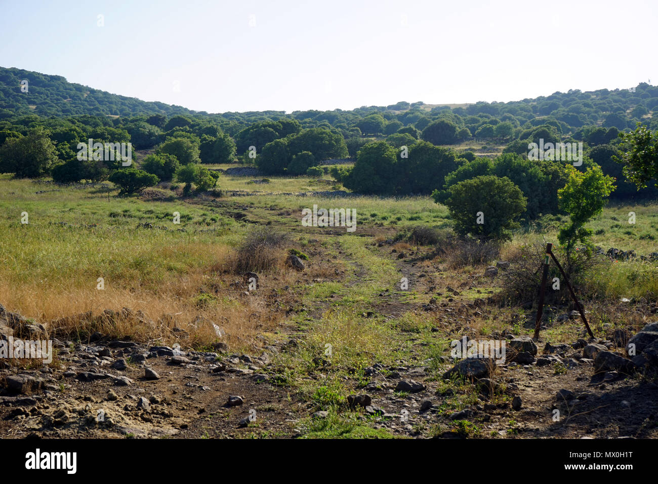 Dirt road in Golan Heights in Galilee, Israel Stock Photo - Alamy